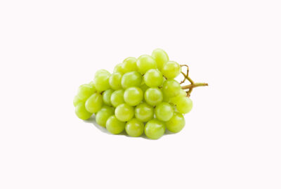 Proizvodi - Stjema Promet