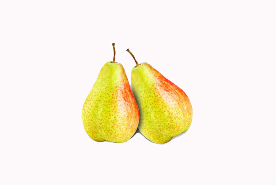 Proizvodi - Stjema Promet